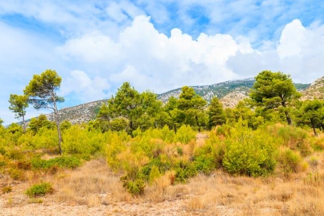 10 Unique Earth Biomes You Should Know About - Mytour