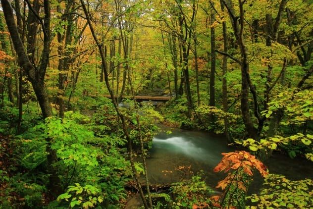 10 Unique Earth Biomes You Should Know About - Mytour