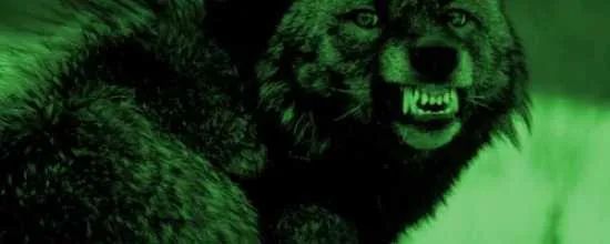 10 Real-Life Werewolves - Mytour