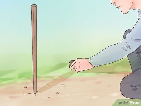 3 Simple Methods to Identify North, South, East, and West Directions