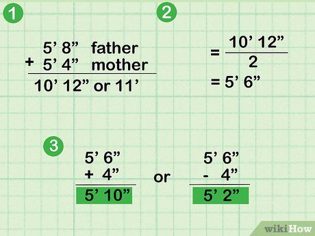 11 Ways to Tell If You're Getting Taller (with Images)