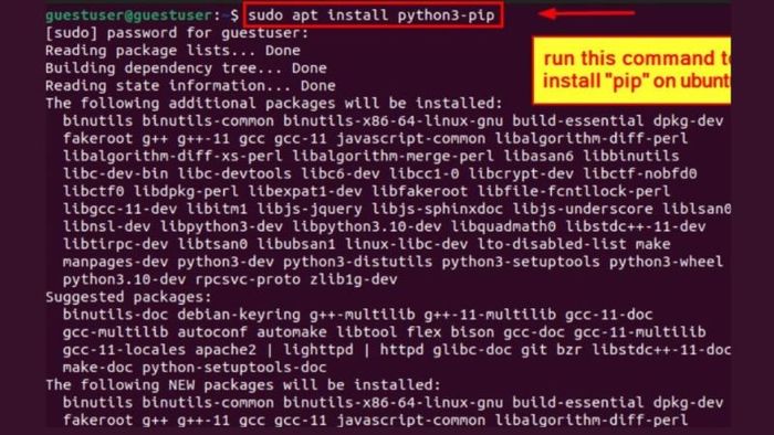 Hướng dẫn chi tiết tải và cài đặt Python trên các hệ điều hành Windows, macOS, Linux