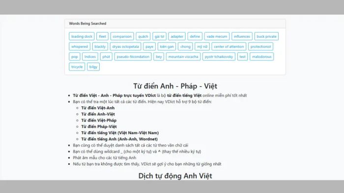 15 ứng dụng dịch tiếng Anh chính xác và tiện dụng hàng đầu hiện nay