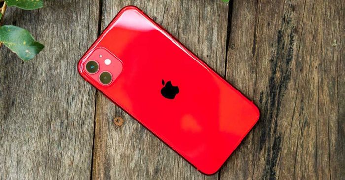 iPhone 11 hiện có bao nhiêu phiên bản và liệu nó còn xứng đáng để sở hữu?