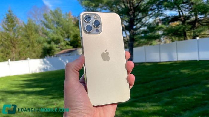 Kích thước iPhone 12 Pro Max là bao nhiêu inch? Liệu chiếc điện thoại ...