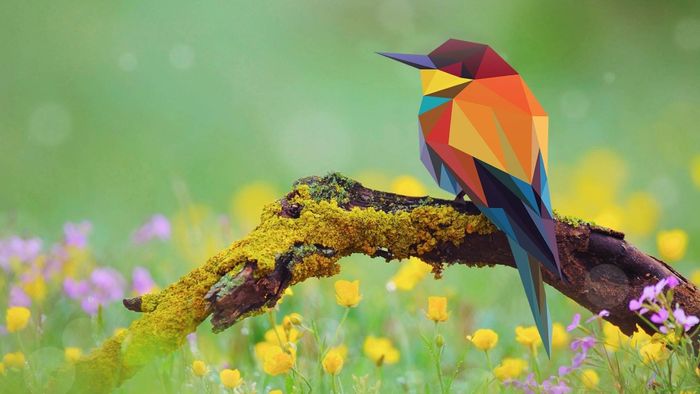 Beautiful Desktop Wallpapers for 2024