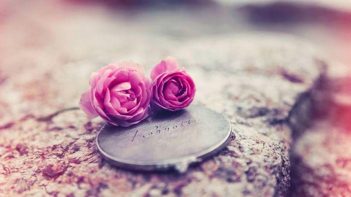 Beautiful Desktop Wallpapers for 2024