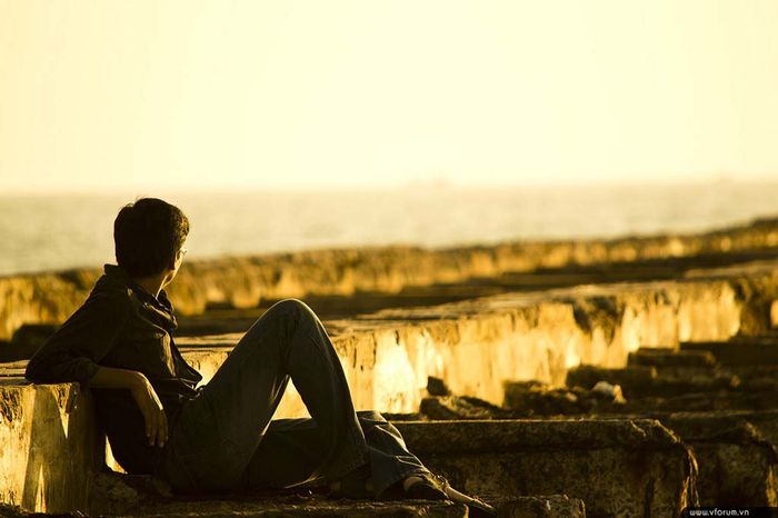 Images depicting the melancholy of love & the beauty of life