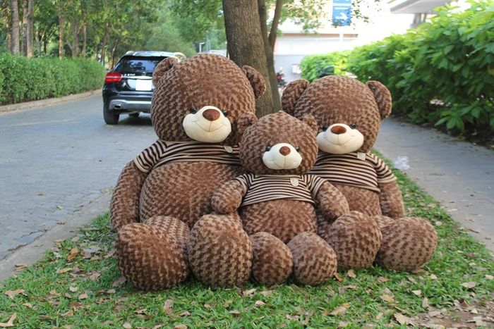 Discover the Most Beautiful Bear Images