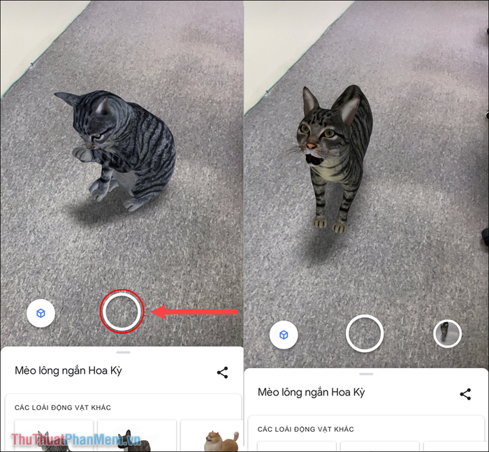 How to View 3D Virtual Reality Images Using Google