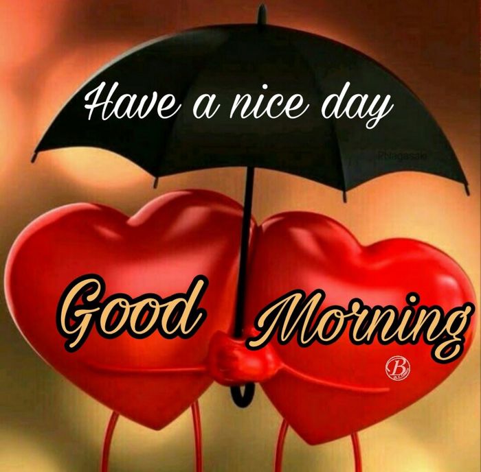 Captivating Images to Wish Your Beloved a Splendid New Day