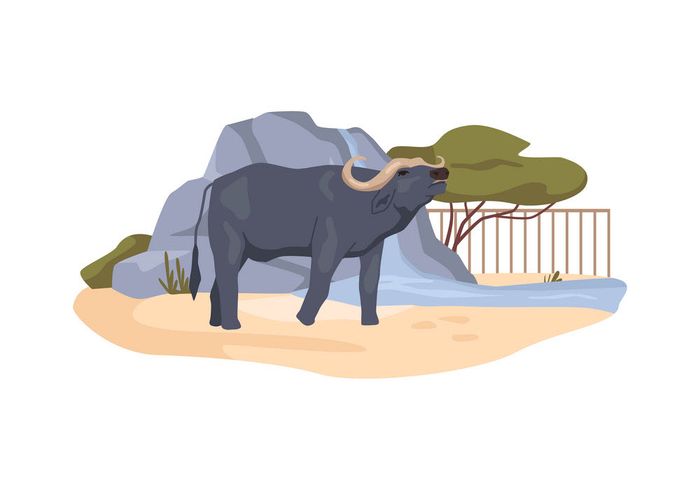 The most beautiful chibi ox pictures