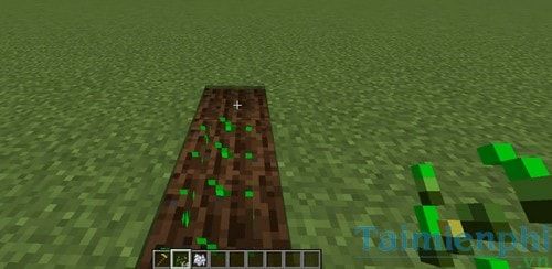 How to Create Wheat Fields in Minecraft