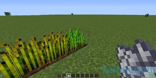 How to Create Wheat Fields in Minecraft