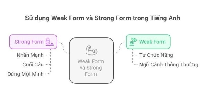 Cách nhận biết Weak Form và Strong Form trong tiếng Anh