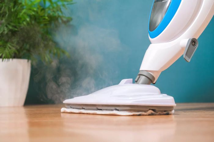 8 Surprising Ways to Make the Most of a Steam Cleaner