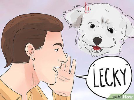 3 Effective Strategies to Handle a Neighbor's Noisy Dog - Mytour