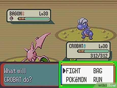 How to Catch Bagon in Pokemon Emerald (with Images) – Mytour