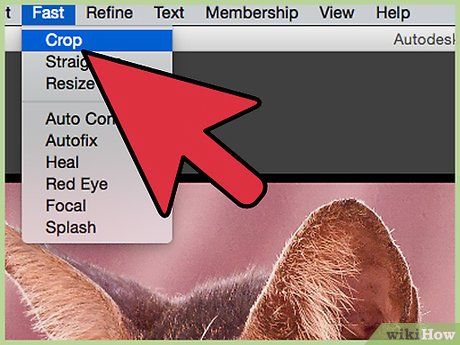 Enhancing JPEG Image Quality – Mytour