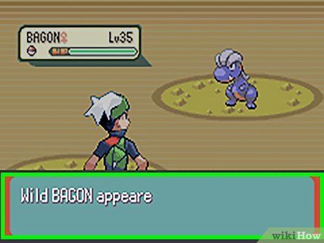 How to Catch Bagon in Pokemon Emerald (with Images) – Mytour
