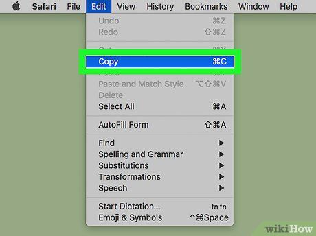 and Paste – Mytour