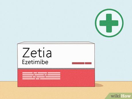 Rapidly Lower Cholesterol Levels – Mytour