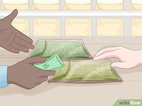 How to Grow Moss